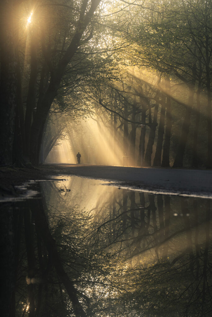 Op de koffietafel: A New Light on Amsterdam van Gosse Bouma