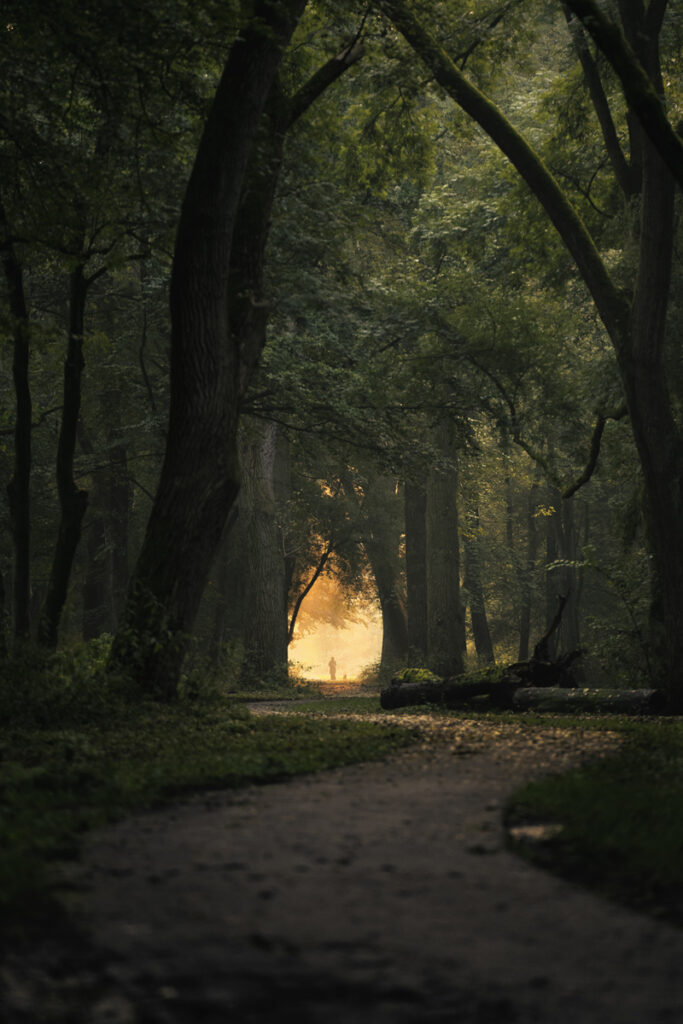 Op de koffietafel: A New Light on Amsterdam van Gosse Bouma